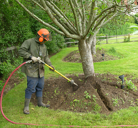 Radial Trenching Around Trees | LebanonTurf