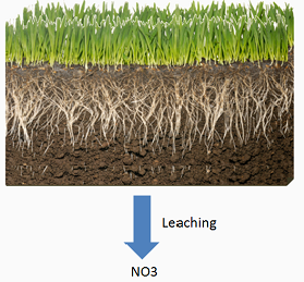 Leaching Characteristics of Organic Fertilizers | LebanonTurf
