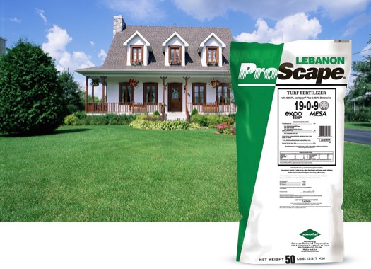 Acelepryn + Dimension, It's Time to go Pro | LebanonTurf