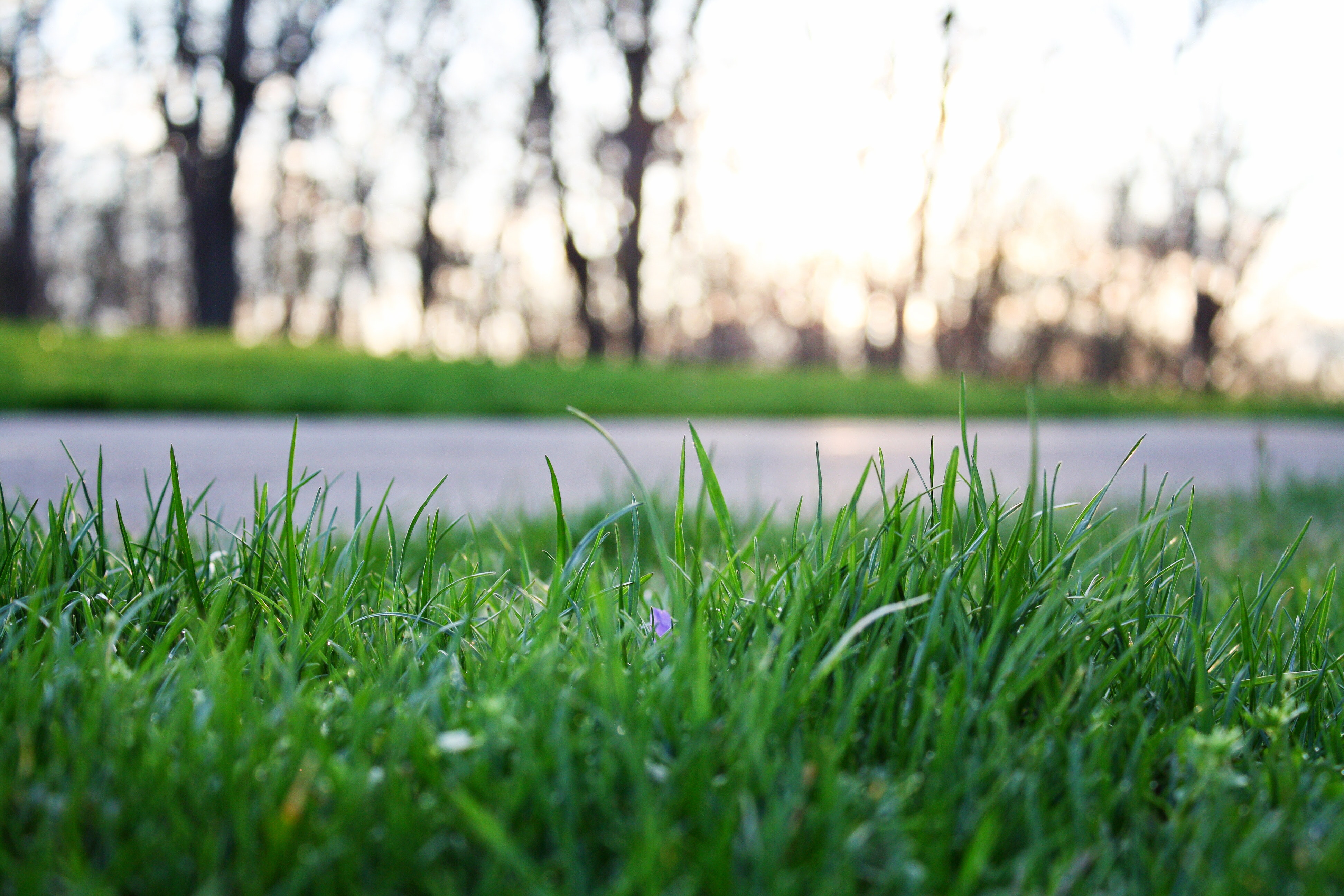 April Showers Mean May Turf Care | LebanonTurf