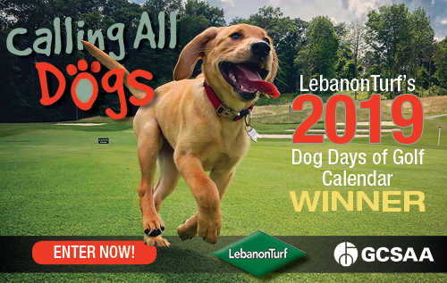 Calling All Dogs | LebanonTurf