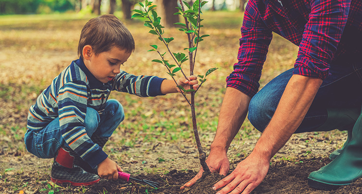 Landscaping Activities Kids Can Help With | LebanonTurf