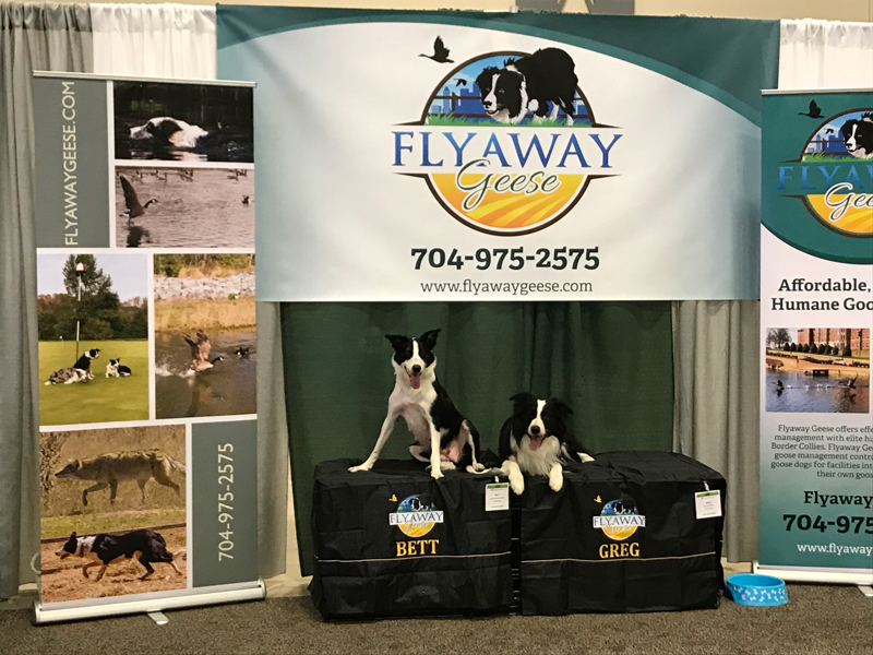 A Look Back at 2018 | LebanonTurf