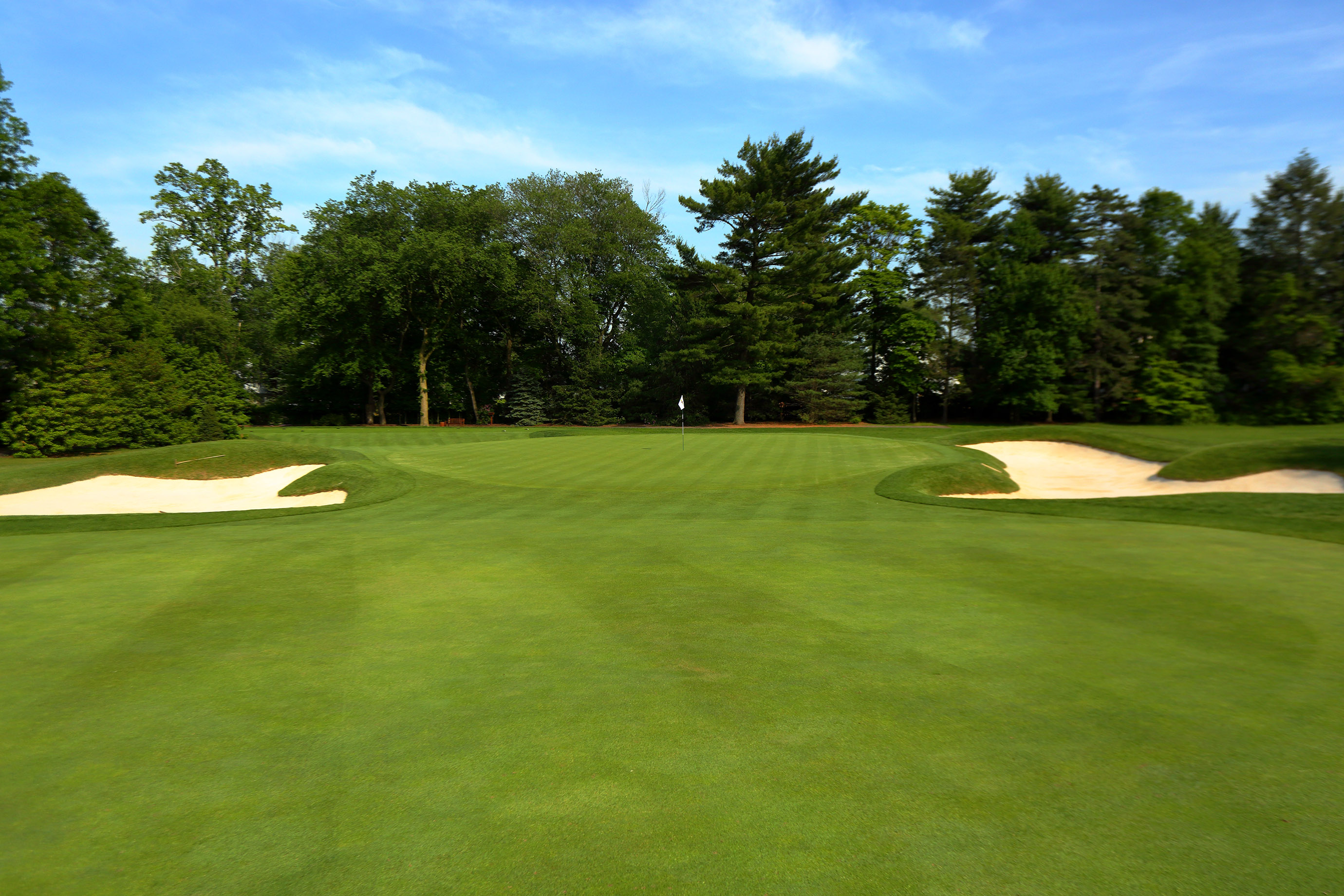 Granular vs. Liquid Fertilizers | LebanonTurf