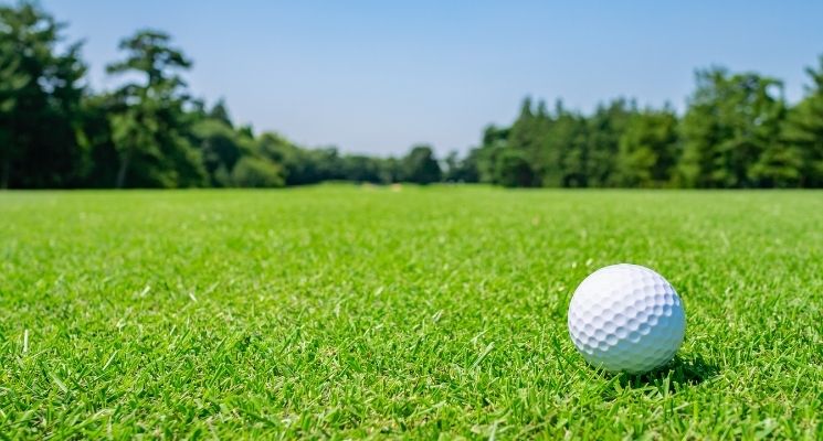 Tournament Turf at the U.S. Open | LebanonTurf